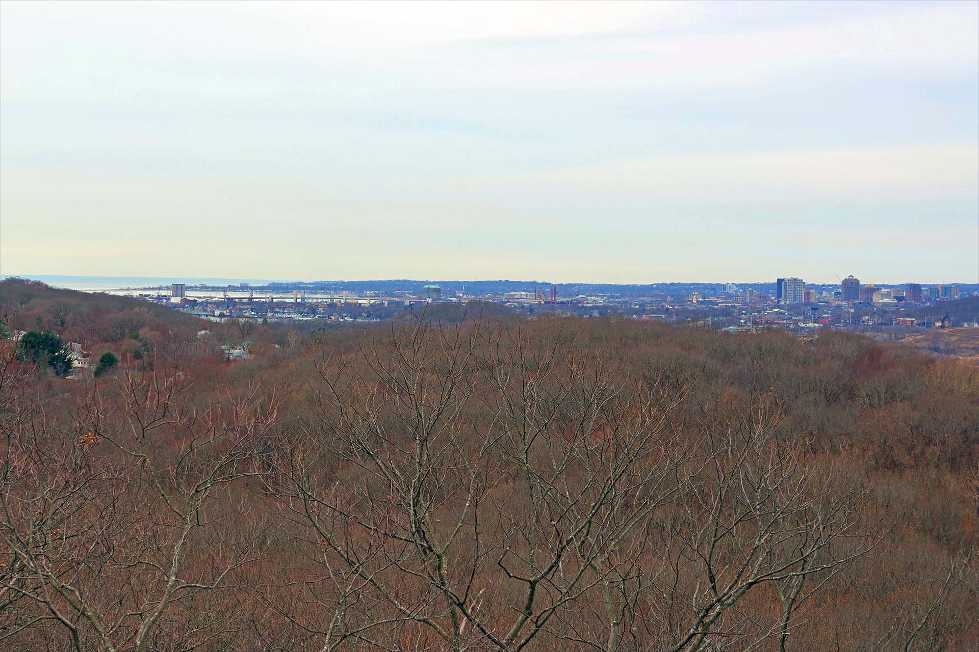 Get a spectacular view of New Haven when hiking Peter's Rock in CT
