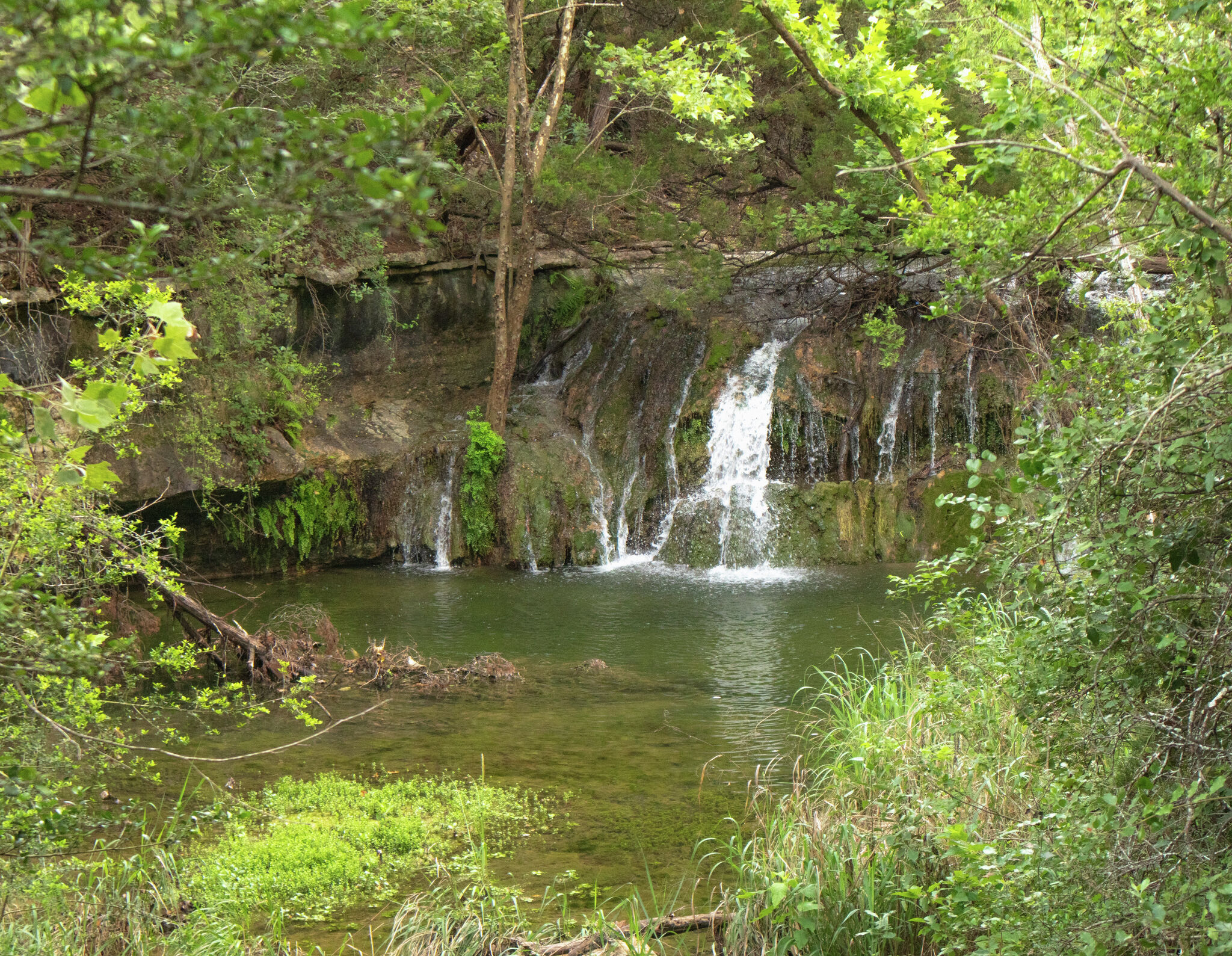 Wild Basin Wilderness Preserve: 10 reasons to visit