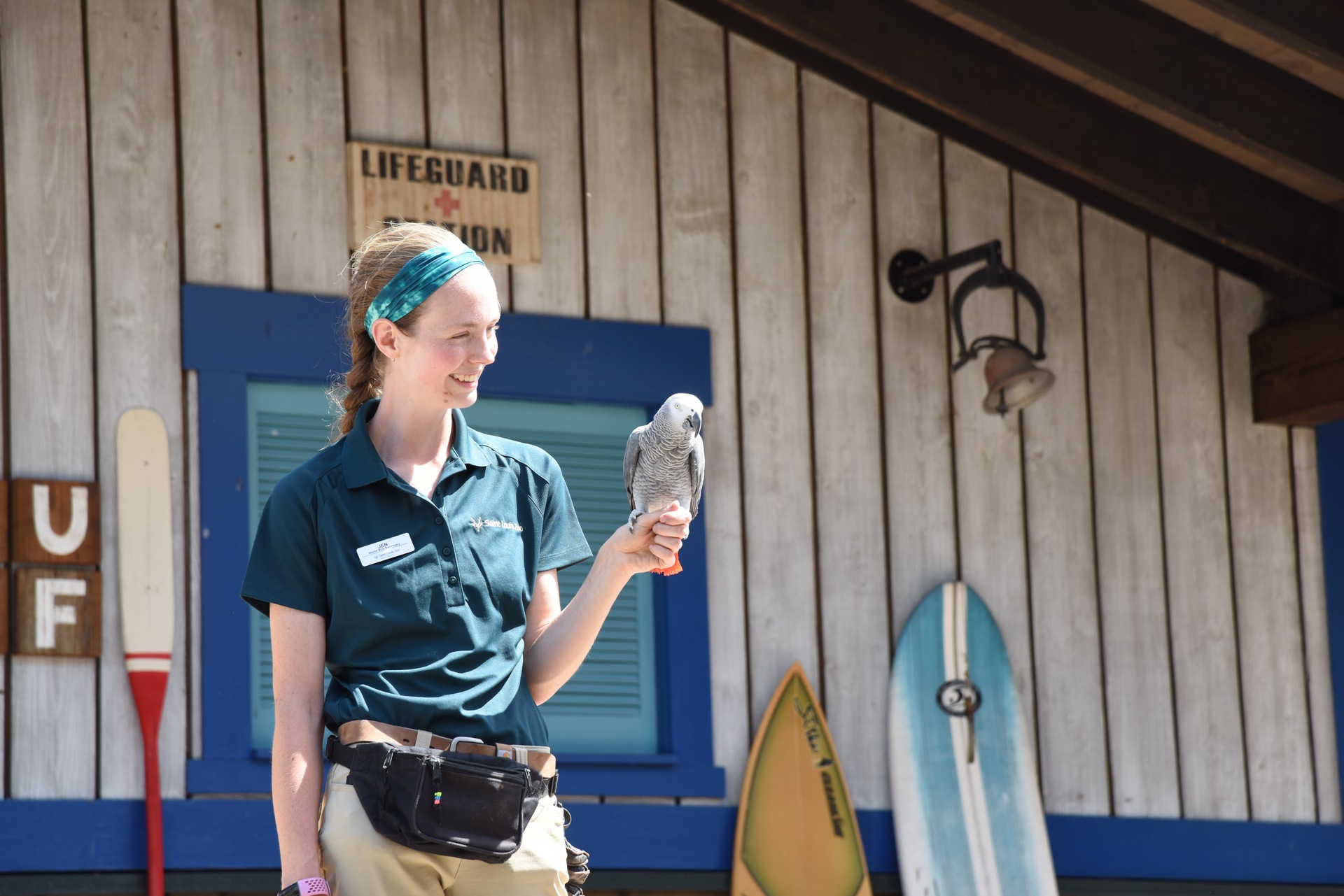 New bird show coming to St. Louis Zoo