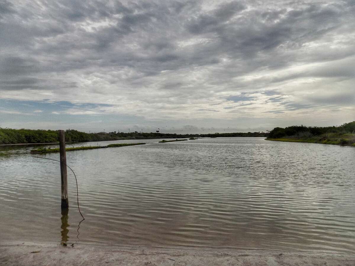 Texas fishermen break record with massive alligator gar