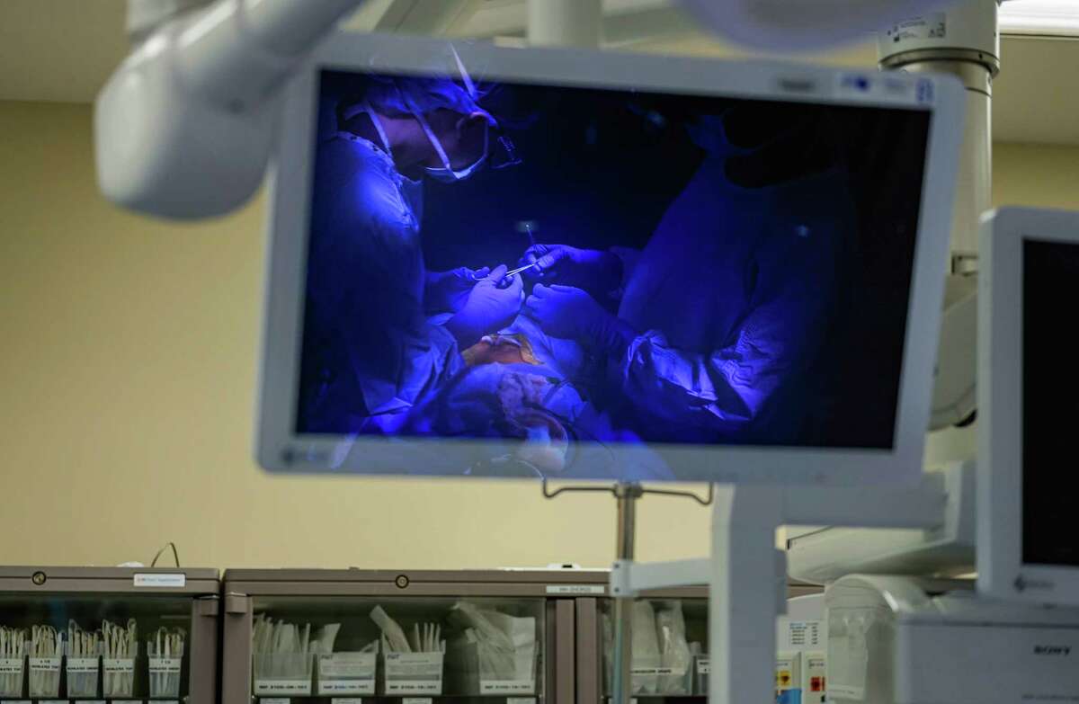 Texas twins with cerebral palsy receive innovative surgery in Houston