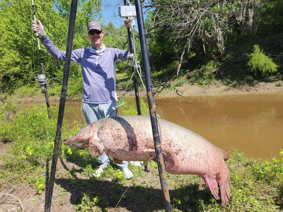 Pending world record alligator gar reeled in by angler in Texas