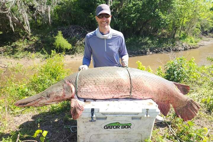 Pending world record alligator gar reeled in by angler in Texas