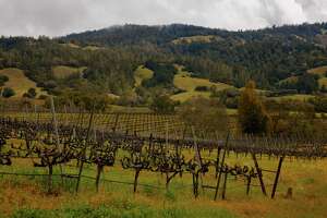 Esther Mobley, Senior Wine Critic - San Francisco Chronicle