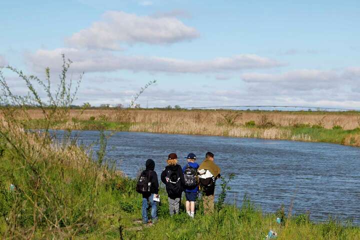 SF Bay Area has one of the world's best carbon sinks. Here's why