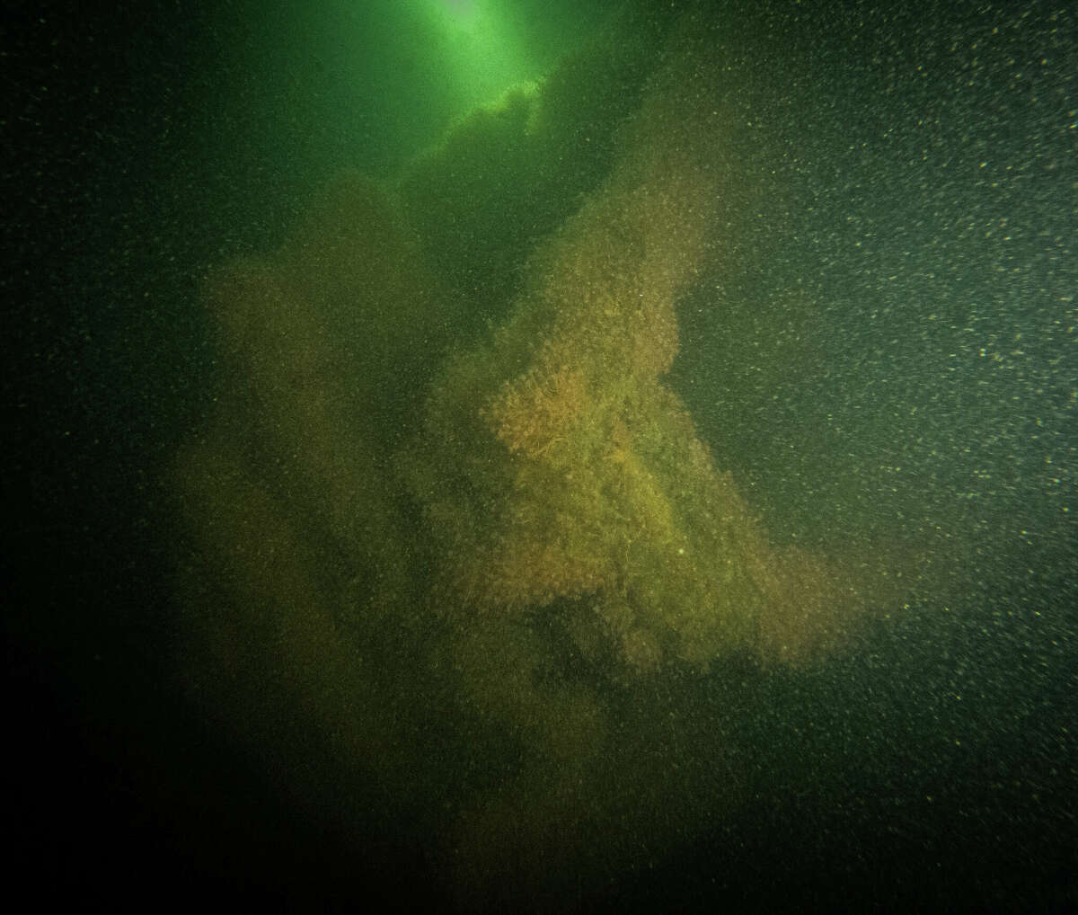 CT divers find submarine missing for 80 years in Long Island Sound