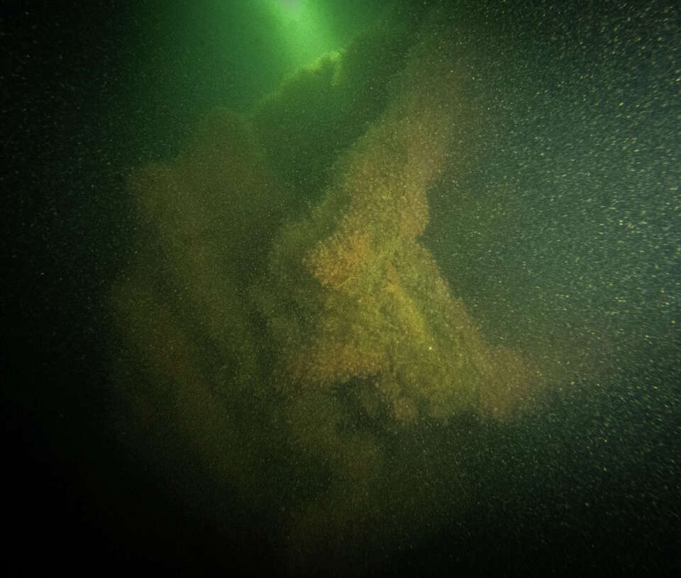 CT divers find submarine missing for 80 years in Long Island Sound