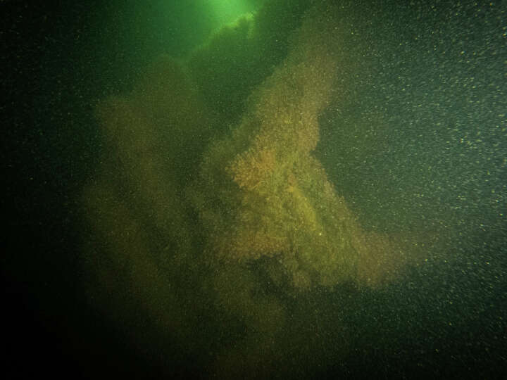 CT divers find submarine missing for 80 years in Long Island Sound