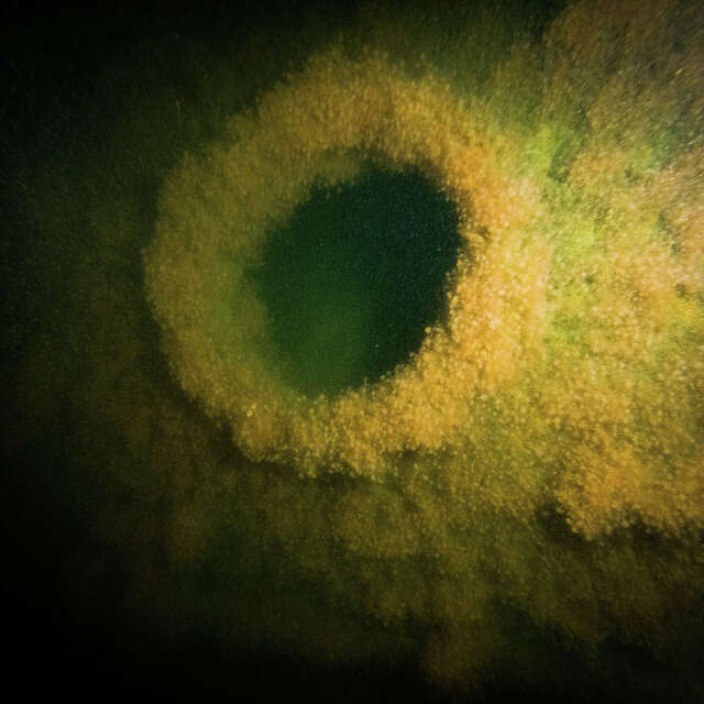 CT divers find submarine missing for 80 years in Long Island Sound