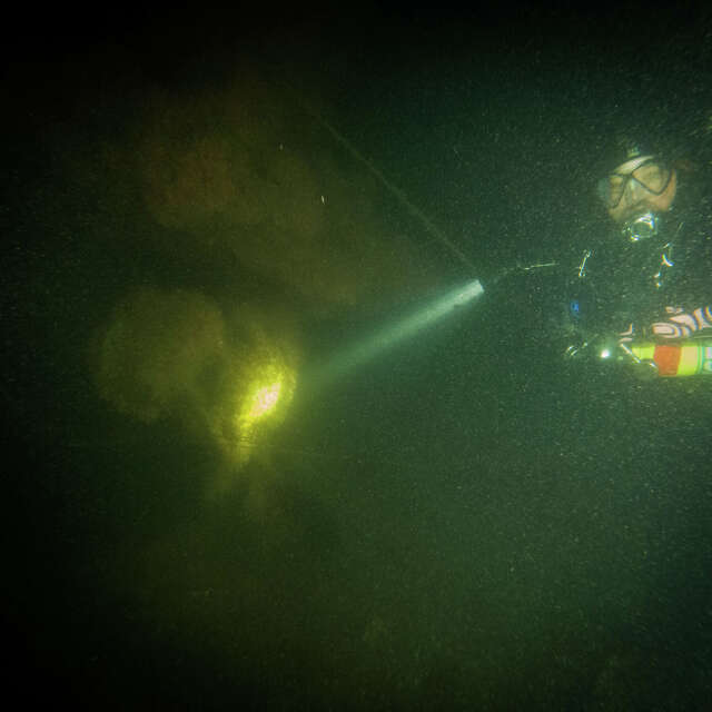 CT divers find submarine missing for 80 years in Long Island Sound