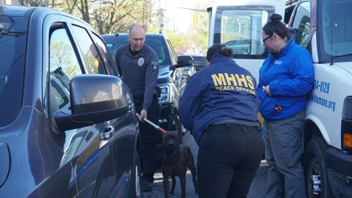 6 charged with cruelty after puppies found among feces, syringes