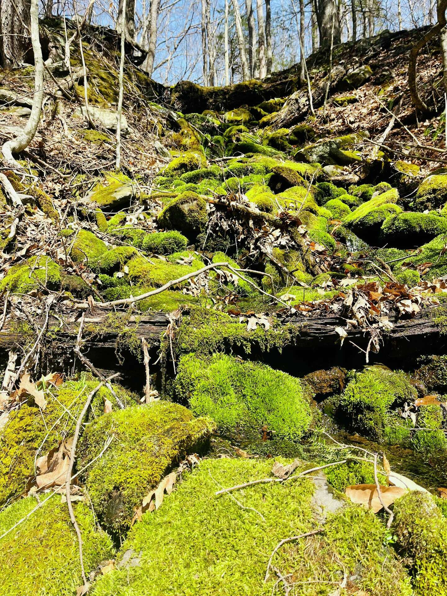 Devil’s Path: Tips for hiking the Catskills’ hardest trail