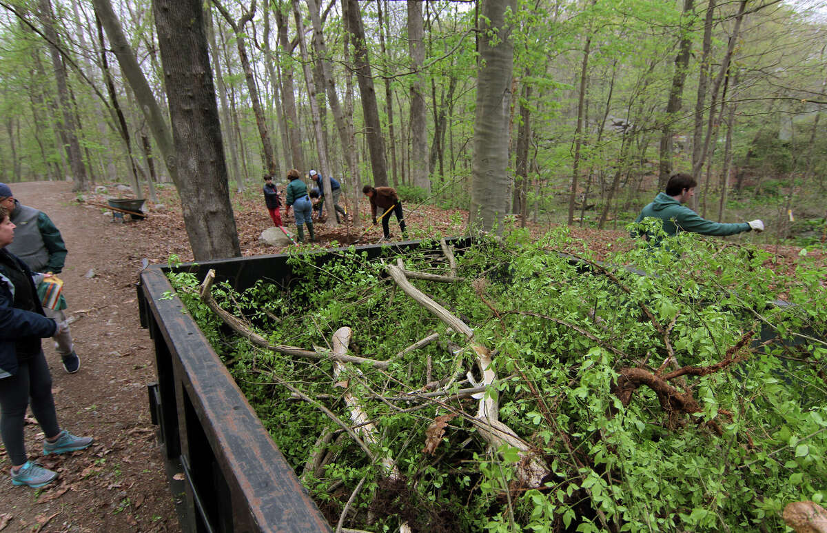 Photos: Earth Day efforts help spruce up Mianus River Park