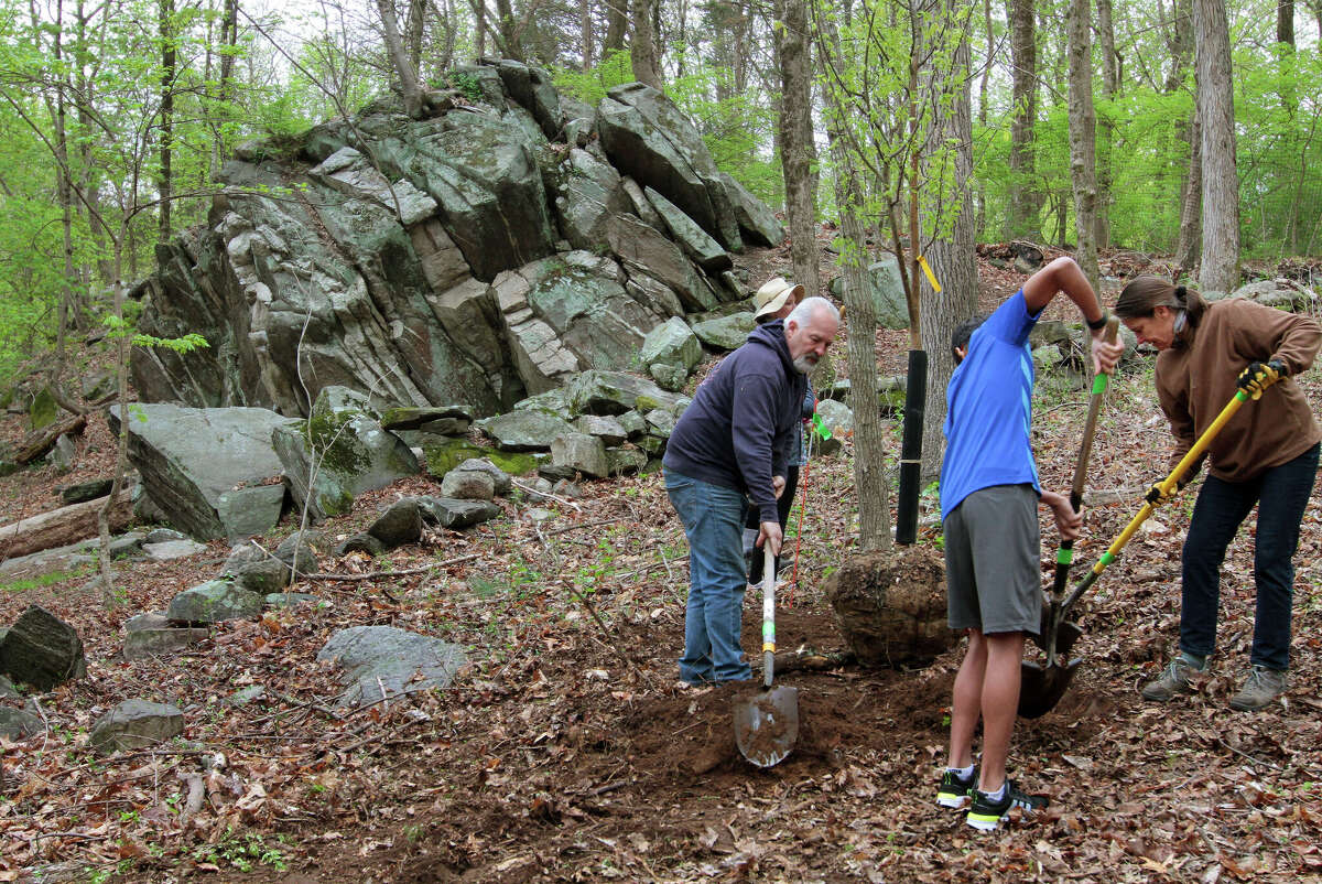 Photos: Earth Day efforts help spruce up Mianus River Park