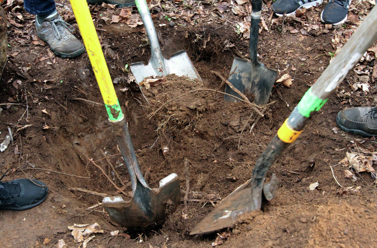 Photos: Earth Day efforts help spruce up Mianus River Park