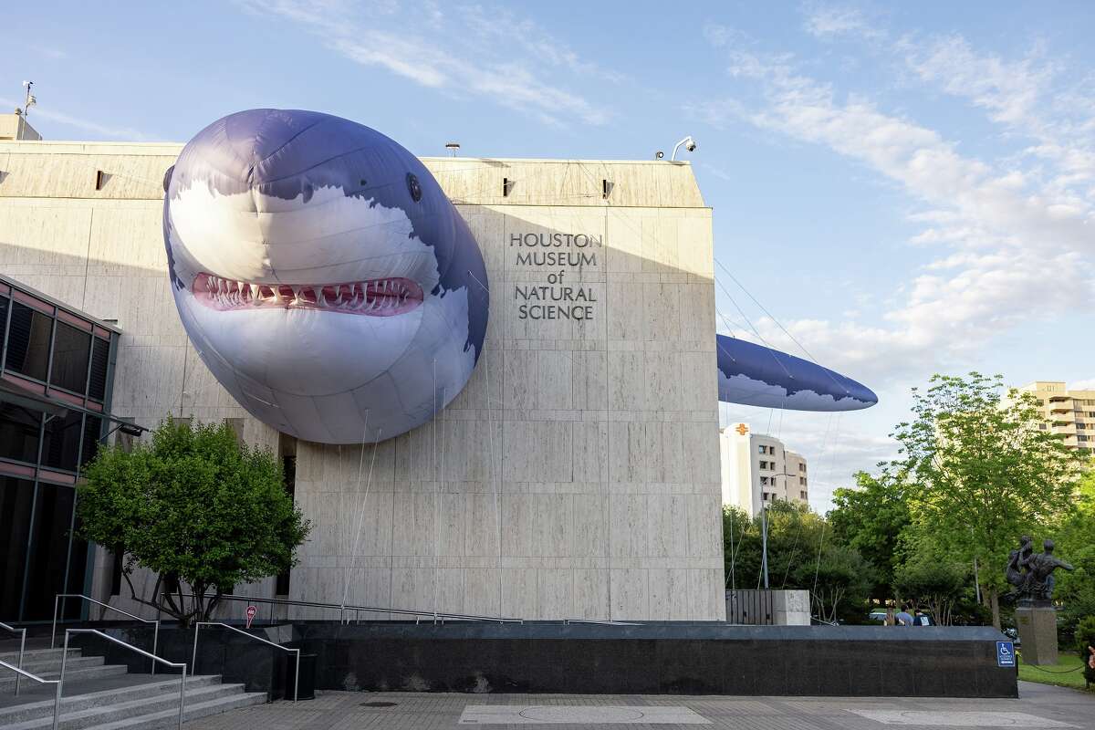 Houston Museum of Natural Science is now home to an inflatable shark