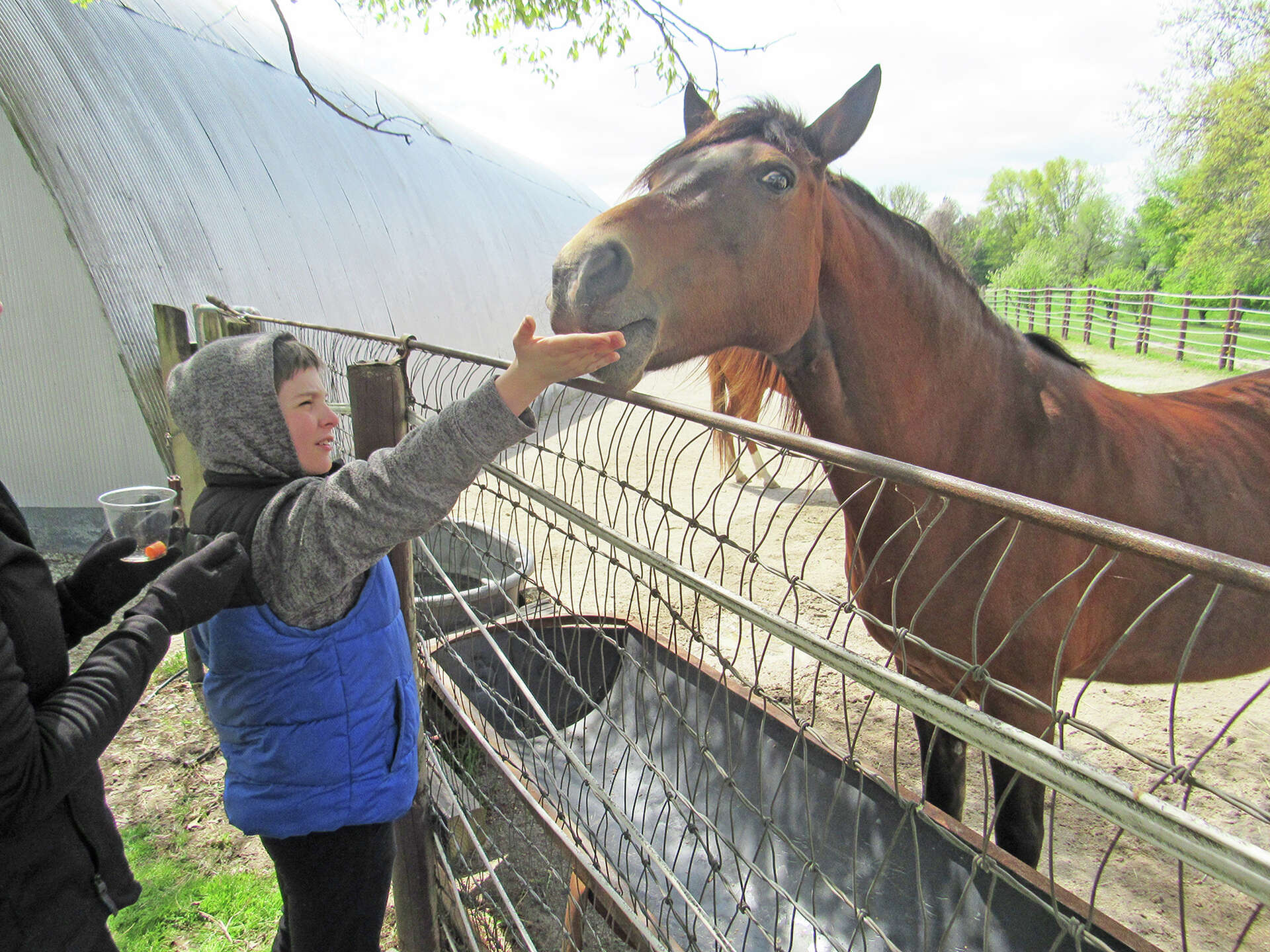 Randy’s Rescue Ranch shares love of animals in grand reopening