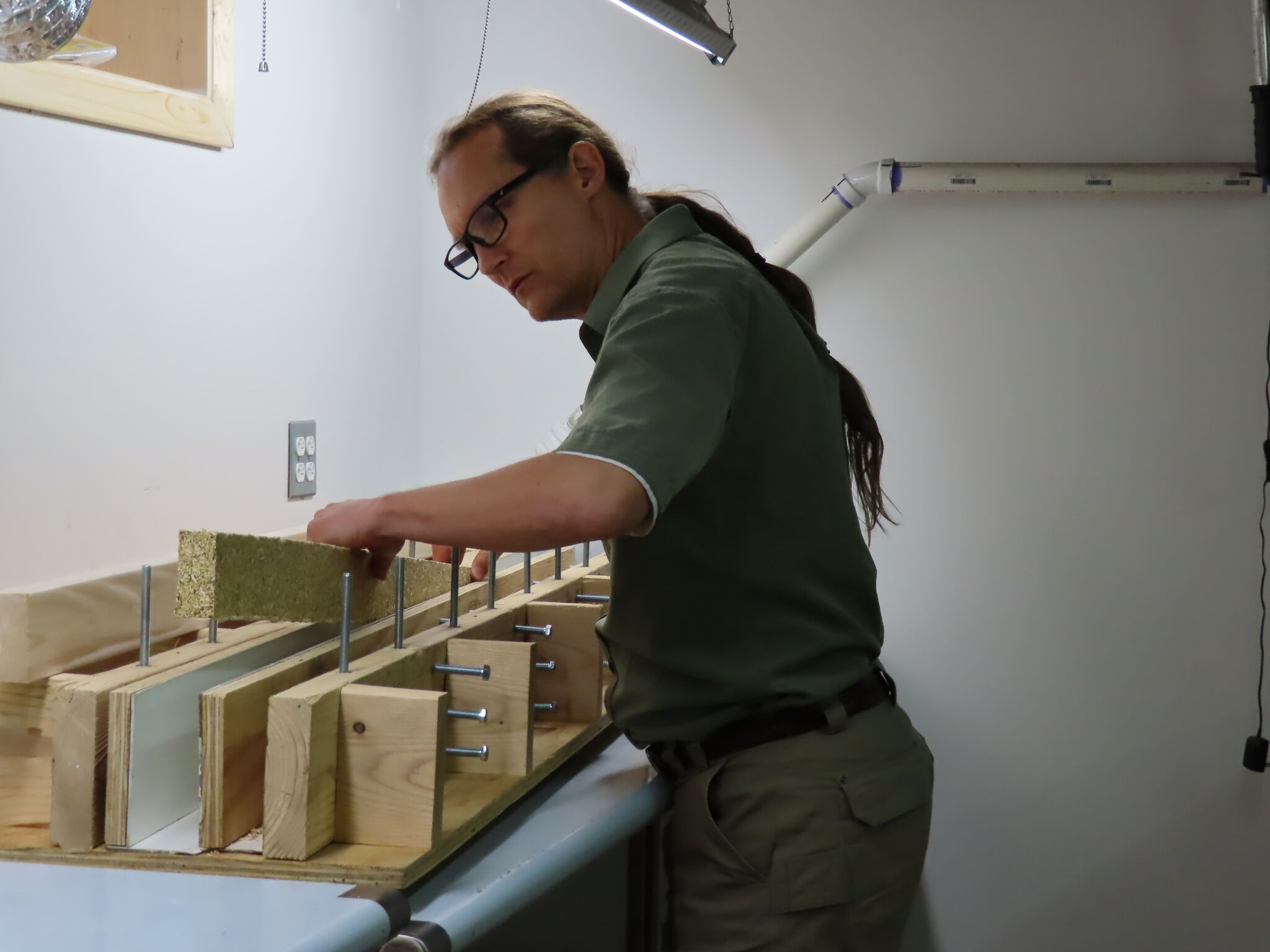 Startup hopes to save forests by producing hemp lumber