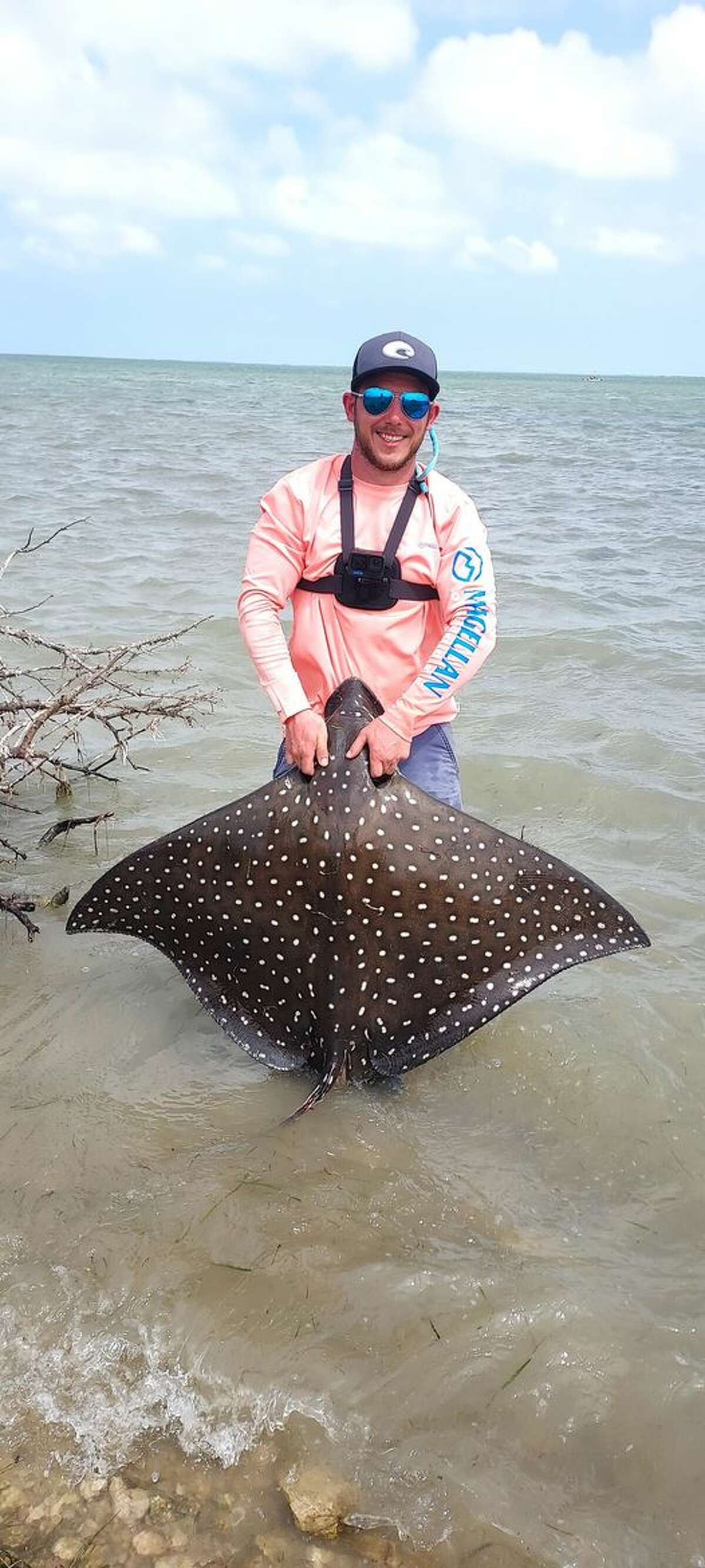 Spotted eagle ray caught along Texas Gulf Coast