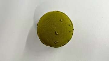 San Antonio Bakery Lorraine introduces pickle macaron