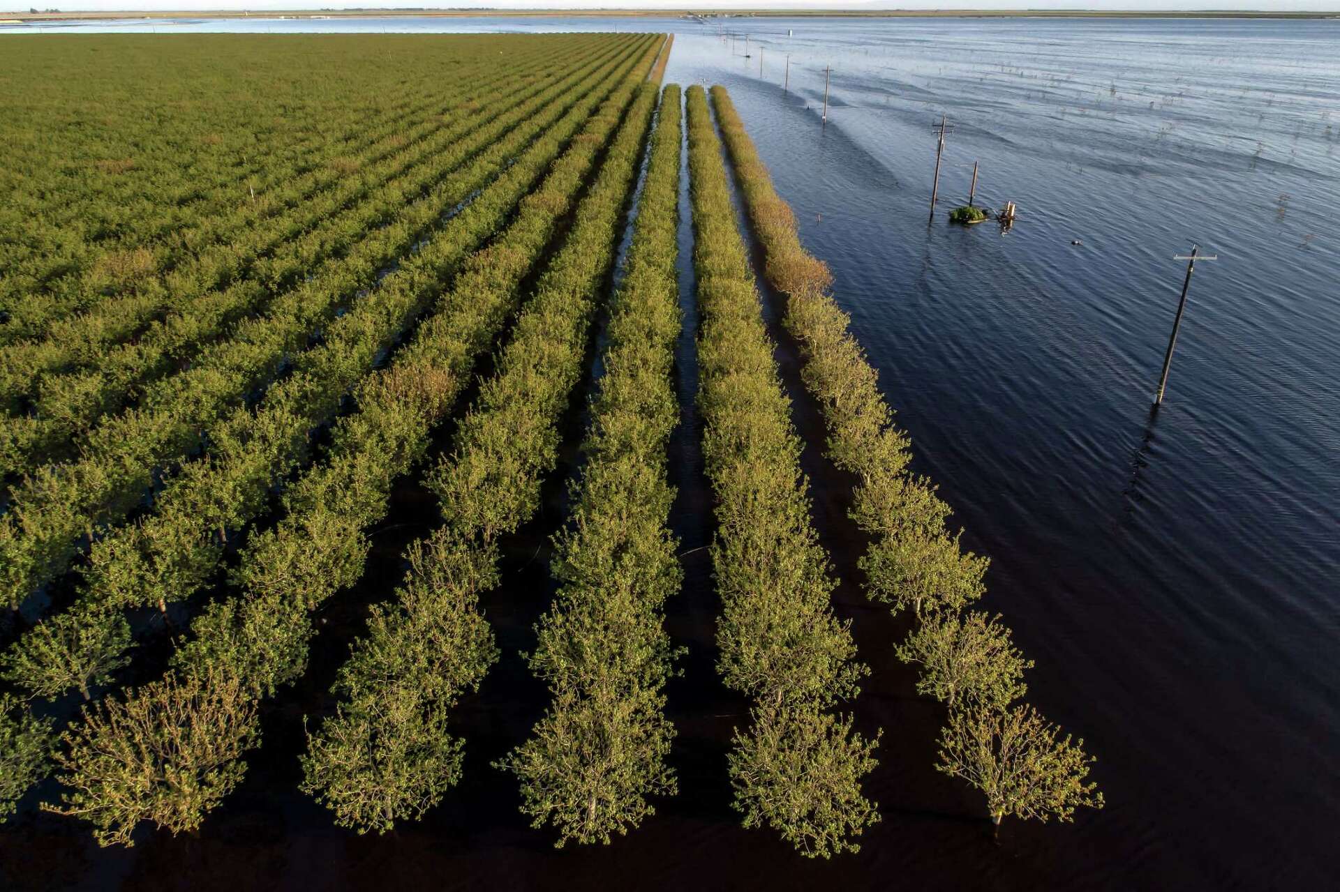 California's lost Tulare Lake returns, some want to make it permanent