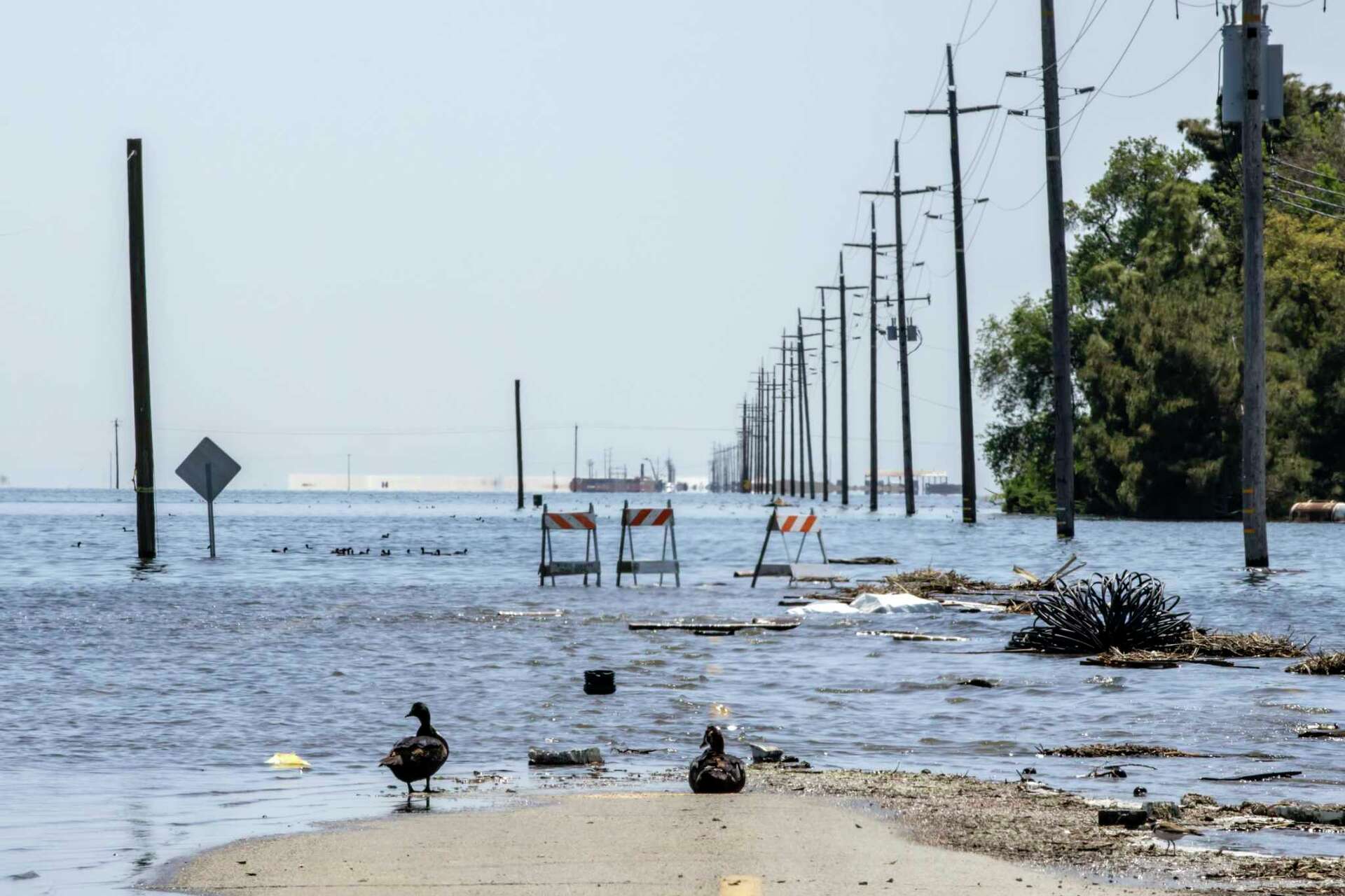 California's lost Tulare Lake returns, some want to make it permanent