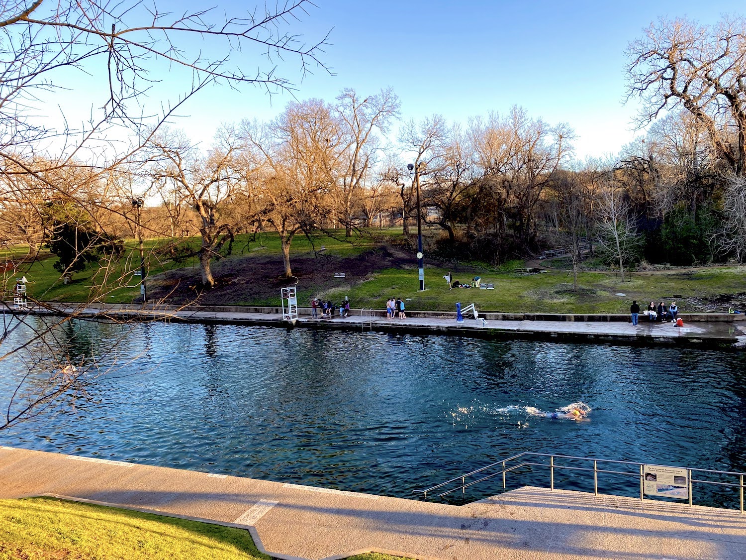 Austin Barton Springs diving 'judges' go viral on TikTok