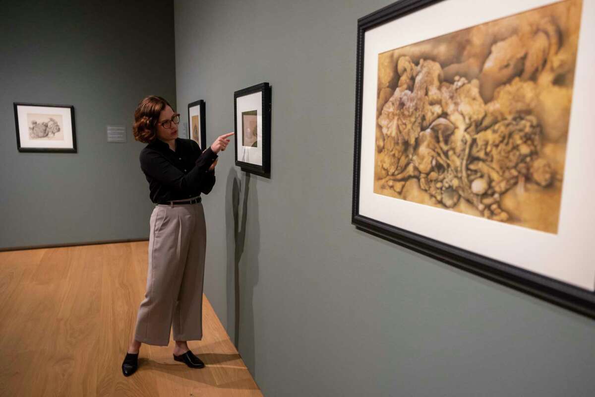 New Menil Drawing Institute exhibits focus on World War II