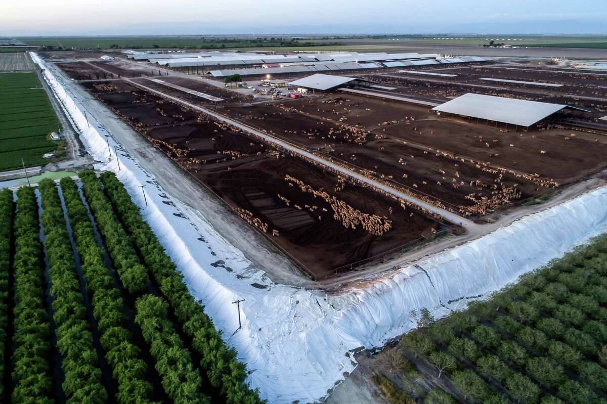 California's lost Tulare Lake returns, some want to make it permanent