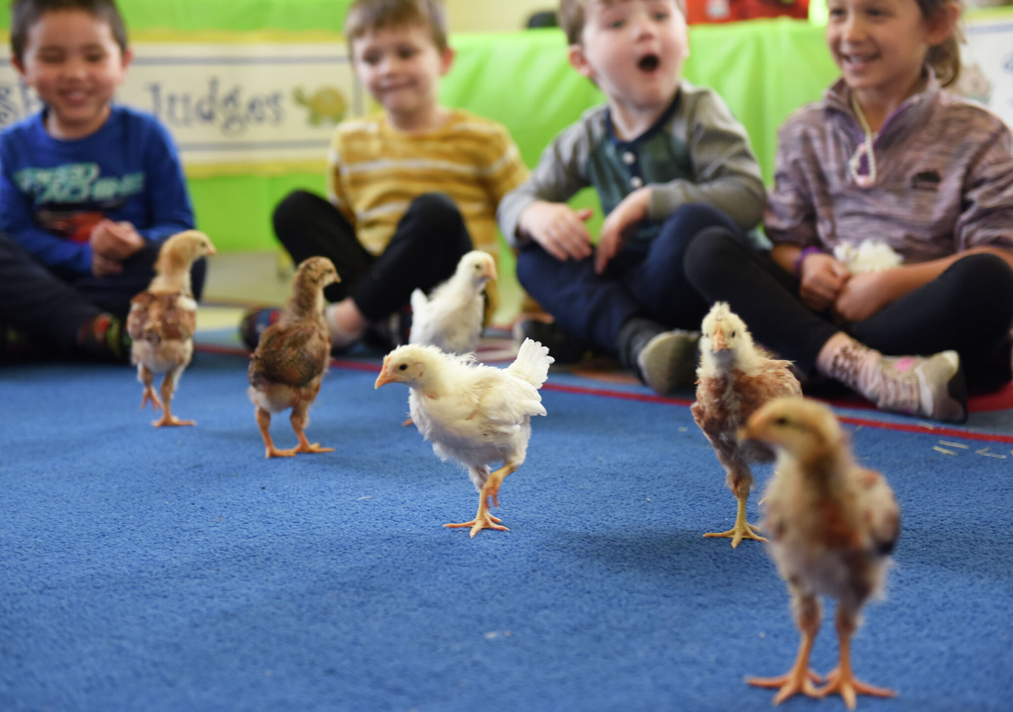 In Photos: Greenwich preschool students bring pets to school