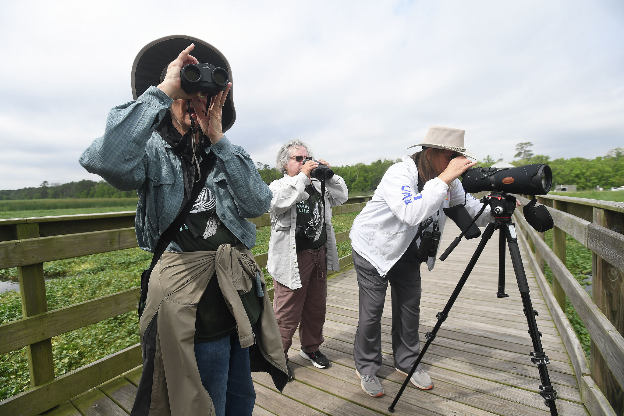 Local birders join in the Great Texas Birding Classic