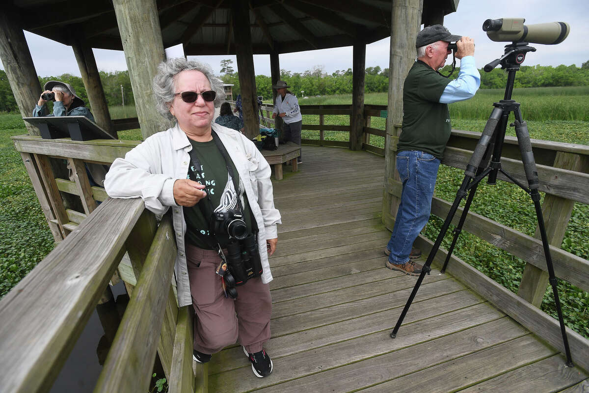 Local birders join in the Great Texas Birding Classic