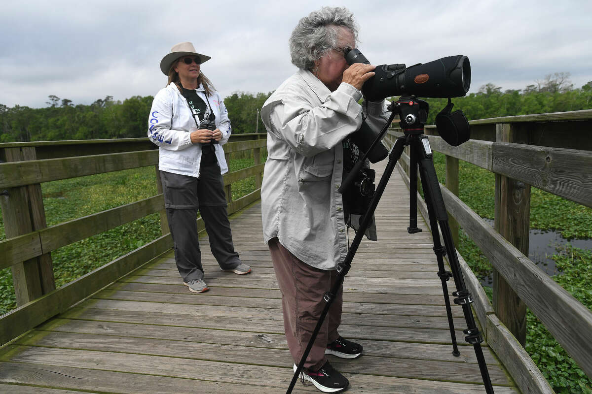Local birders join in the Great Texas Birding Classic