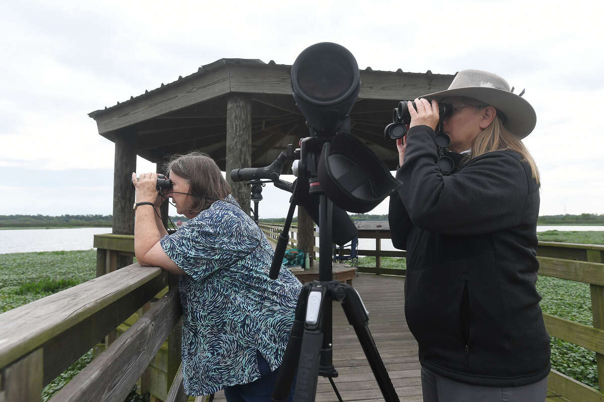 Local birders join in the Great Texas Birding Classic