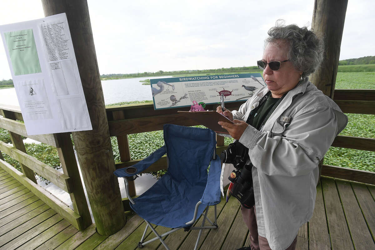 Local birders join in the Great Texas Birding Classic
