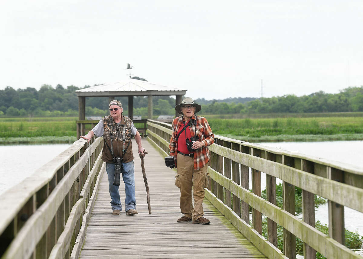 Local birders join in the Great Texas Birding Classic