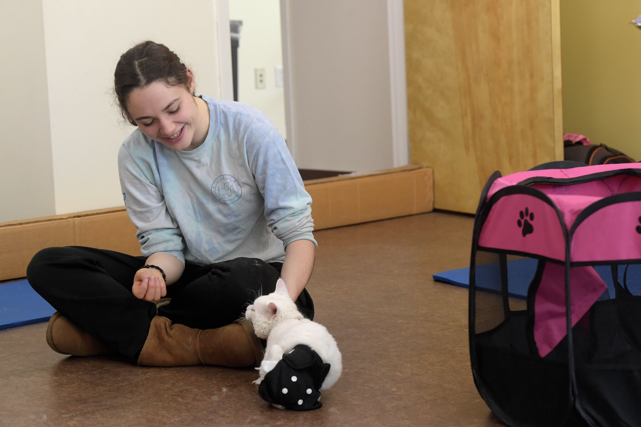 Danbury couple's cats with disabilities help students de-stress