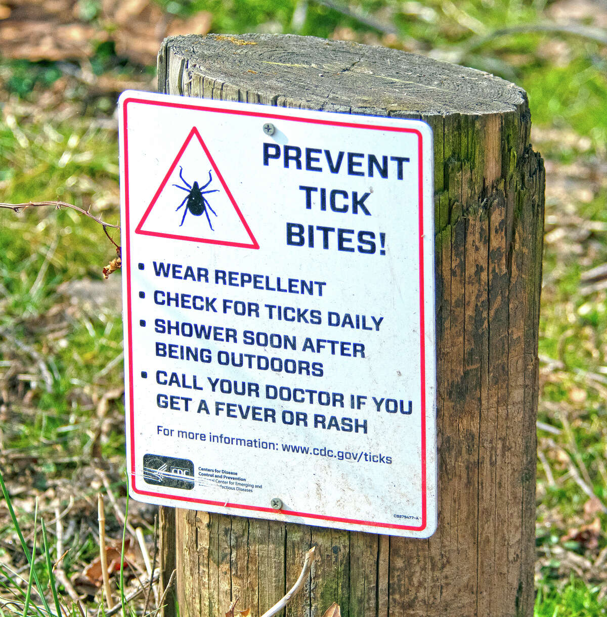 How to stay safe against ticks during this year's season