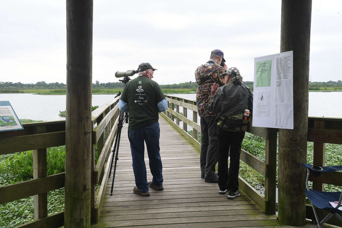 Local birders join in the Great Texas Birding Classic