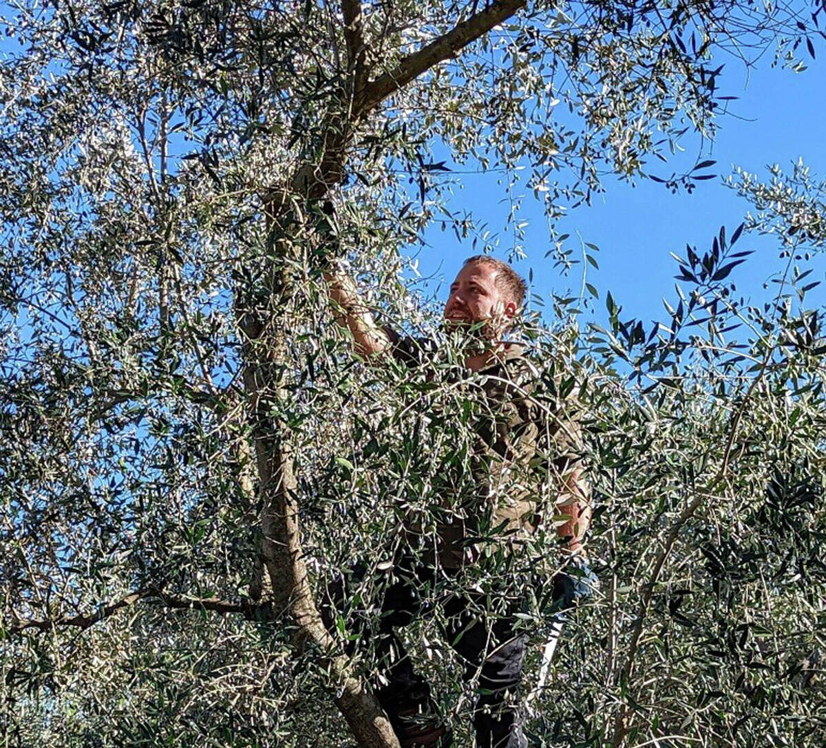 A new farmer's market springs up at Guilford Fairgrounds