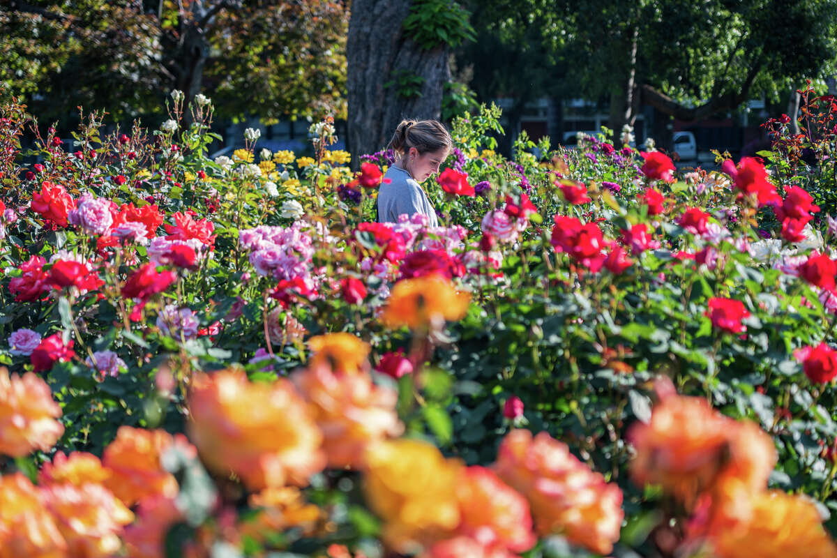 Lawmakers might honor controversial California Supreme Court justice