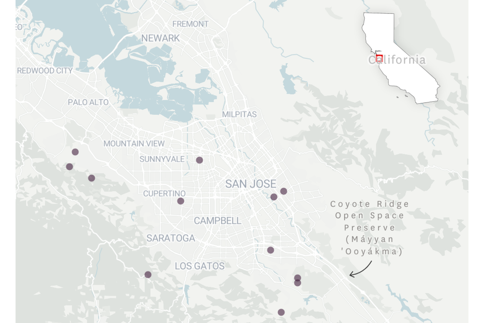 California superblooms: Maps show where to spot rare wildflowers