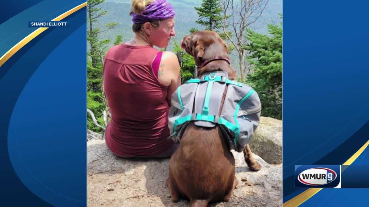 Chocolate Lab hikes all of New Hampshire's 4,000-foot mountains; works ...