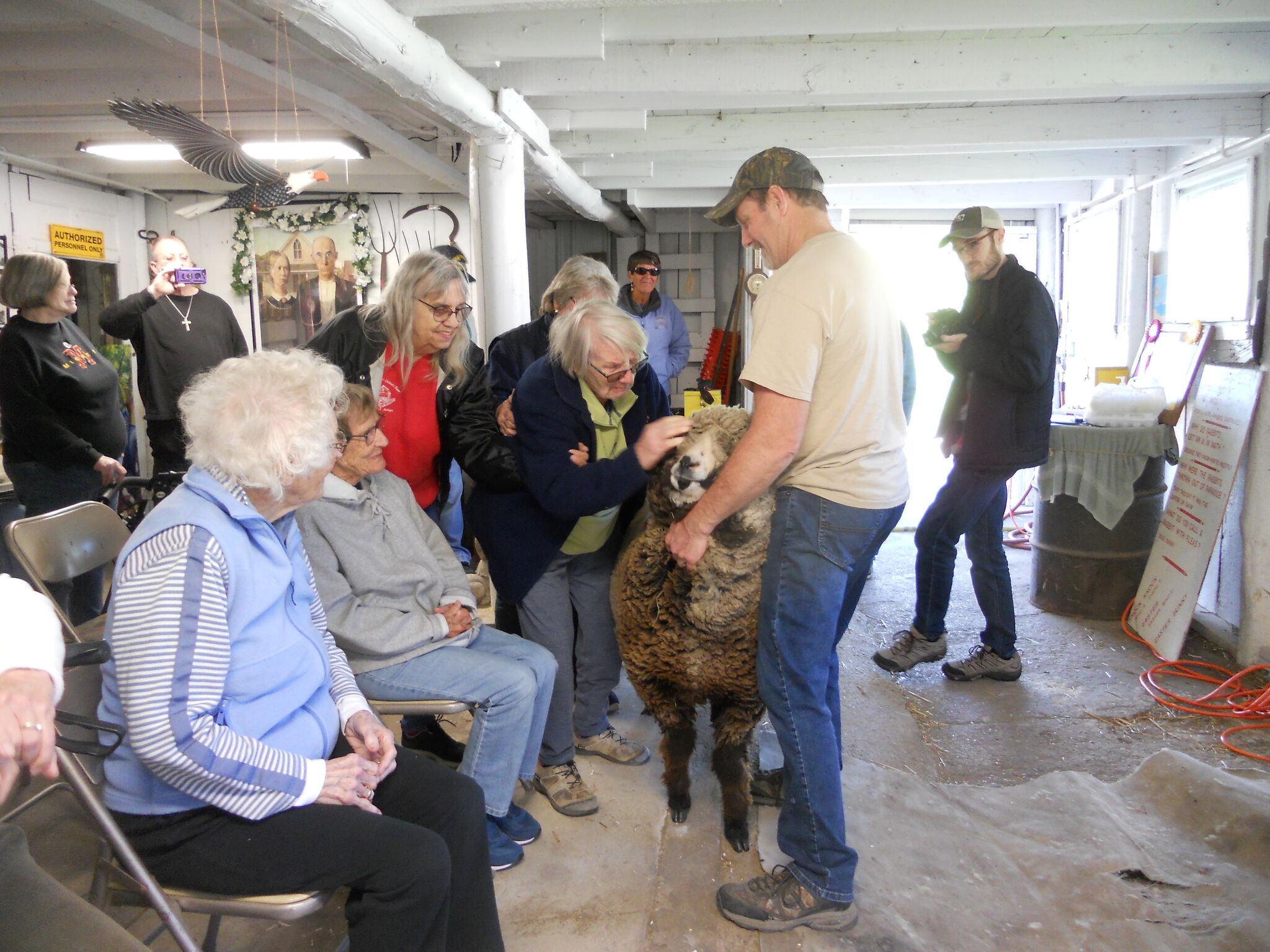 Sheep shearing demonstration slated in Free Soil