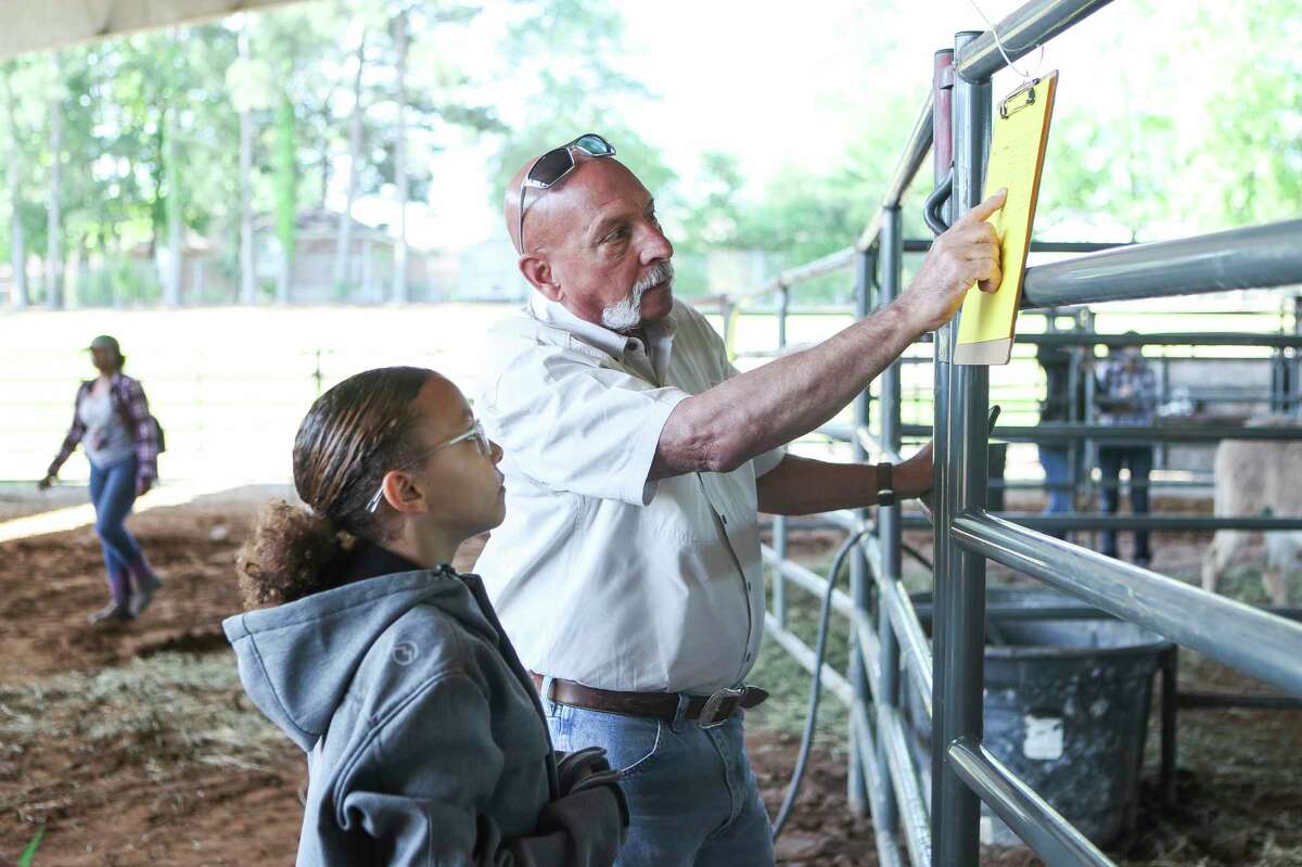 Texas wild horse and burro auction draws more than 100 buyers