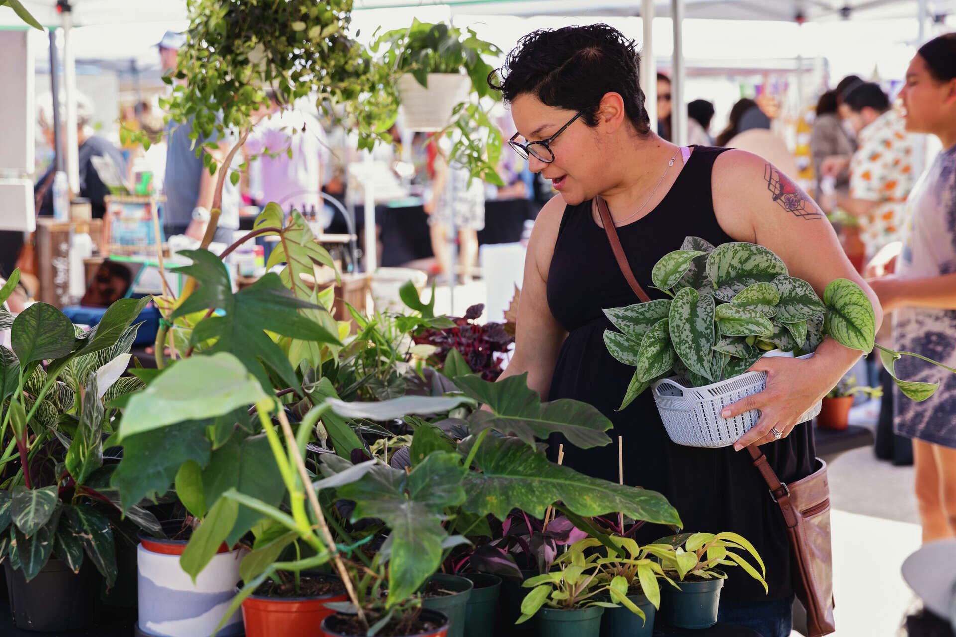 PlantCon to bring together hundreds of Houston plant-lovers