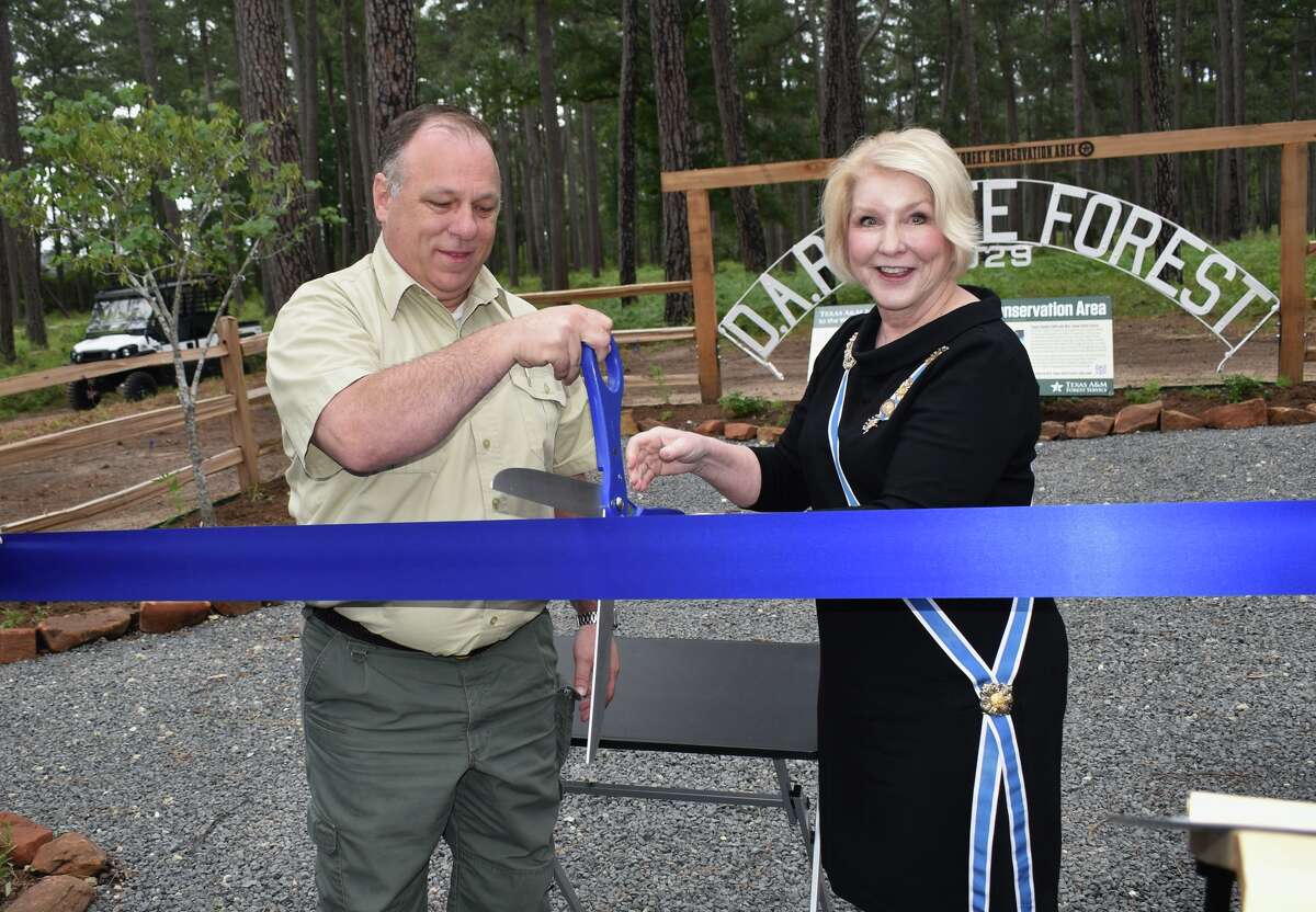 100 acres of Texas forest set for endangered woodpecker conservation