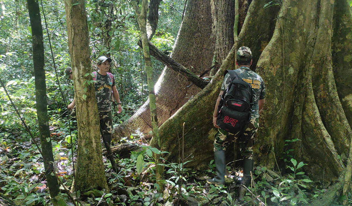 An Amazonian community fights logging mafias and state neglect