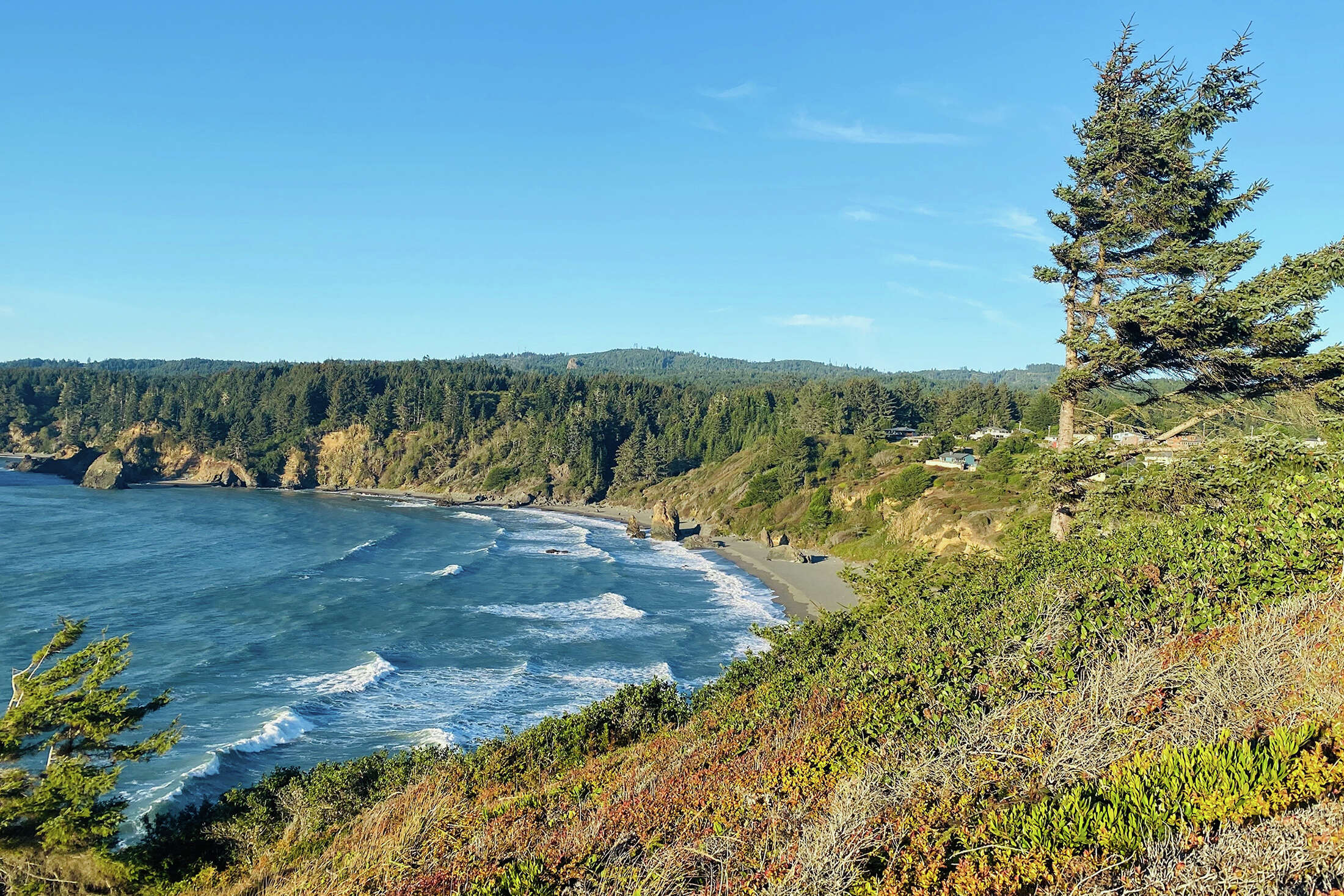 Trinidad Head is the easiest and loveliest hike on the Calif. coast
