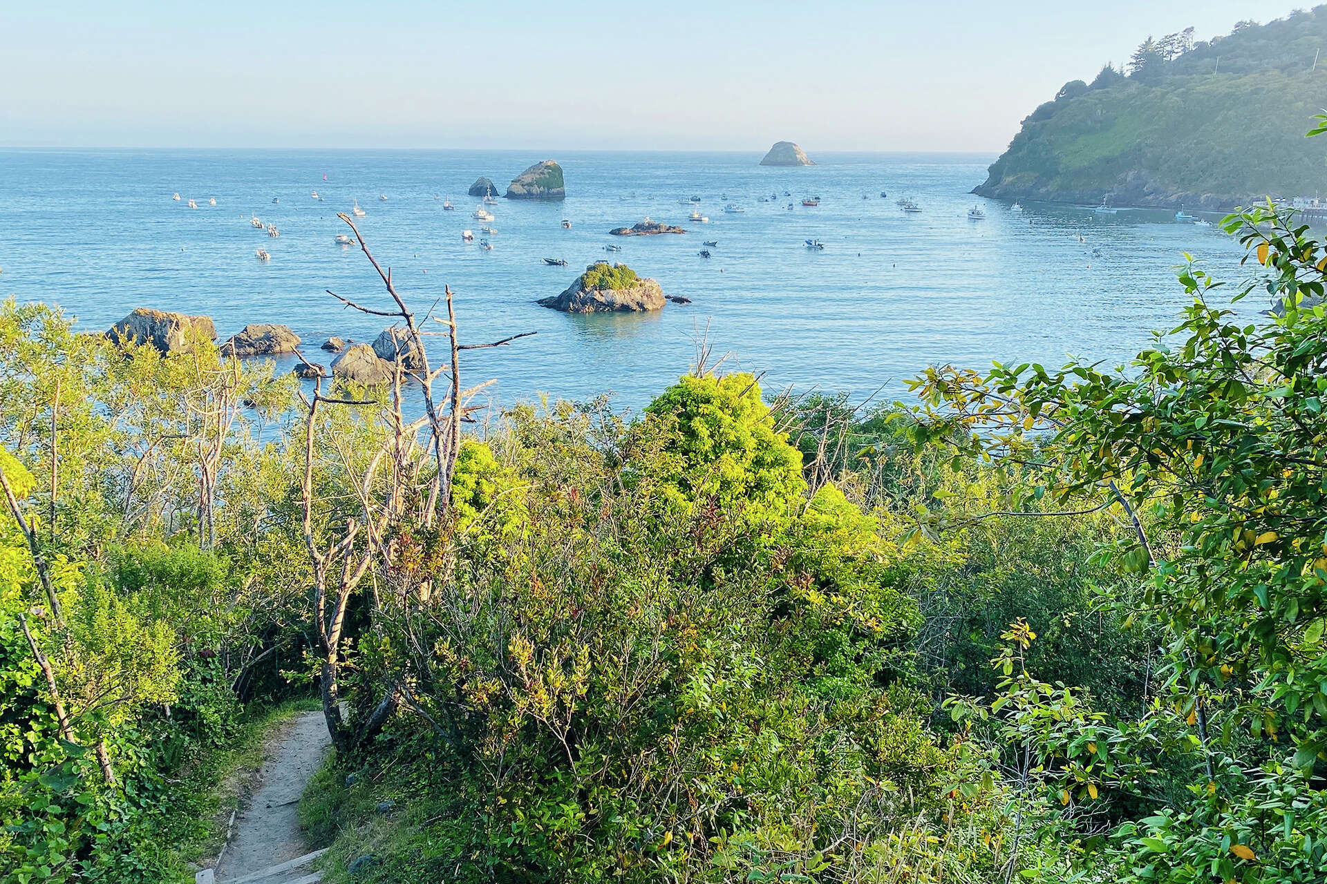 Trinidad Head is the easiest and loveliest hike on the Calif. coast
